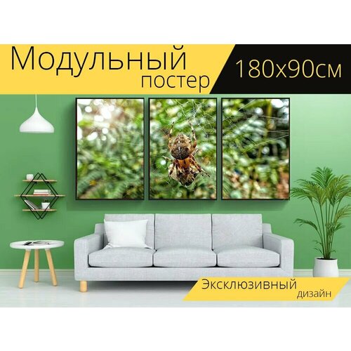 Модульный постер "Паук, насекомое, жук" 180 x 90 см. для интерьера