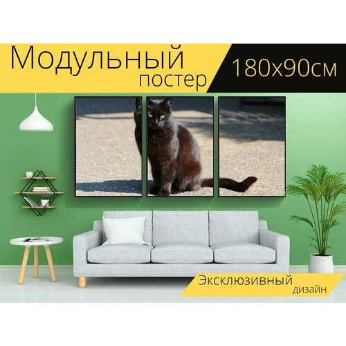 Модульный постер "Черный кот, тень, животное" 180 x 90 см. для интерьера