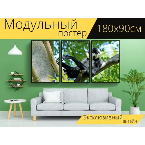 Модульный постер "Гиббон, обезьяна, примат" 180 x 90 см. для интерьера