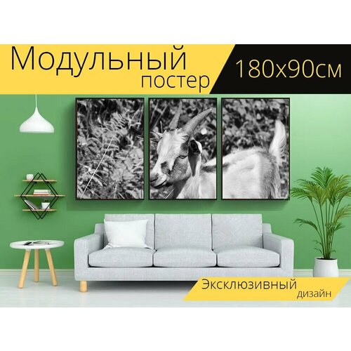 Модульный постер "Коза, козел, козла рога" 180 x 90 см. для интерьера