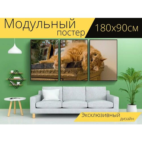Модульный постер "Кот оранжевый, оранжевый оранжевый кот, зеленые глаза" 180 x 90 см. для интерьера
