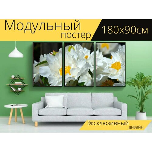 Модульный постер "Пион, белый, цветок" 180 x 90 см. для интерьера