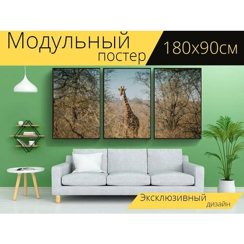 Модульный постер "Жирафа, дикая природа, африканец" 180 x 90 см. для интерьера