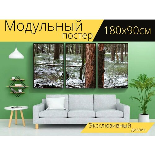 Модульный постер "Повреждение леса, кора дерева, поврежден" 180 x 90 см. для интерьера