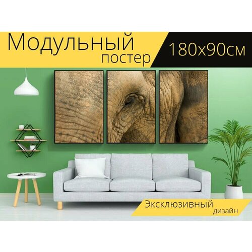 Модульный постер "Слон, сафари, природа" 180 x 90 см. для интерьера