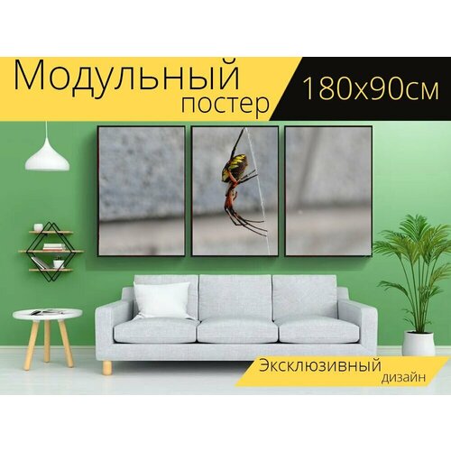 Модульный постер "Паук, жук, насекомое" 180 x 90 см. для интерьера