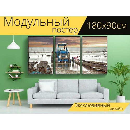 Модульный постер "Устрицы, работа, ракушки" 180 x 90 см. для интерьера