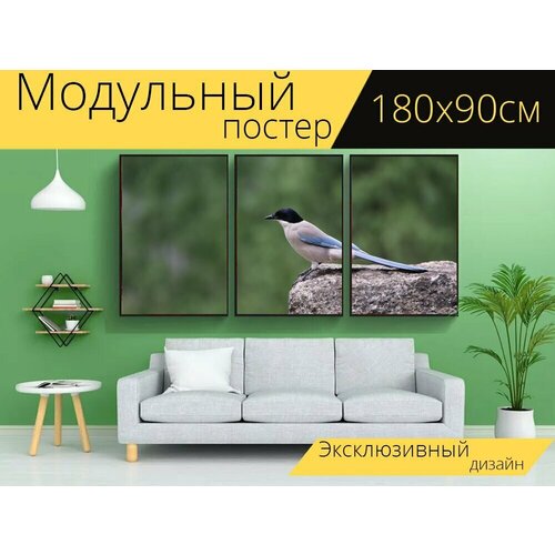 Модульный постер "Сорока, птица, камень" 180 x 90 см. для интерьера