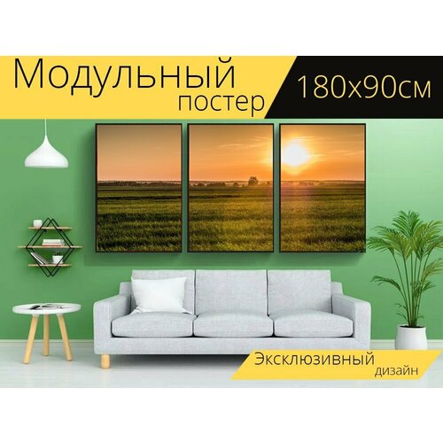 Модульный постер "Восход солнца, поля, луга" 180 x 90 см. для интерьера