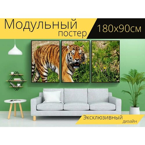 Модульный постер "Тигр, хищник, шерсть" 180 x 90 см. для интерьера