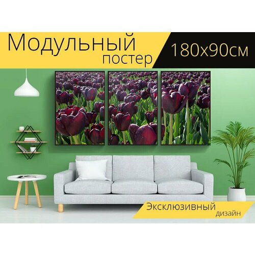 Модульный постер "Тюльпаны, фиолетовый, луковицы" 180 x 90 см. для интерьера
