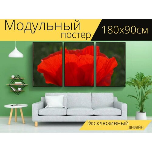 Модульный постер "Кукурузный мак, цветок мака, мак" 180 x 90 см. для интерьера