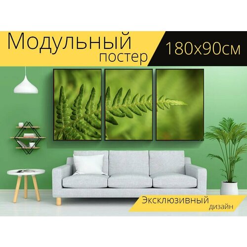 Модульный постер "Папоротник, завод, зеленый" 180 x 90 см. для интерьера