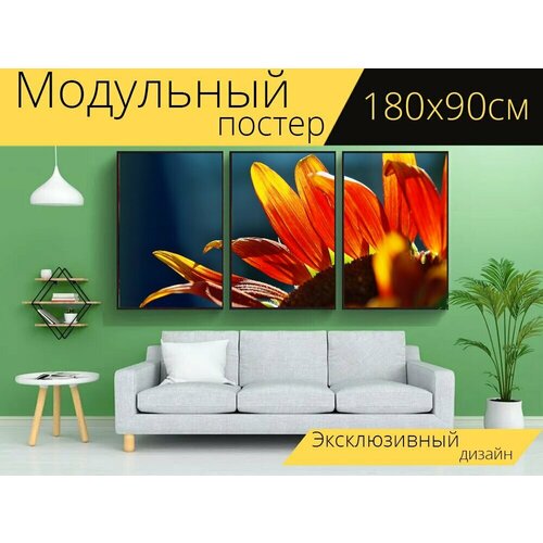 Модульный постер "Подсолнух, цветок, яркий" 180 x 90 см. для интерьера