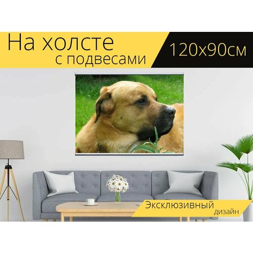 Картина на холсте "Собака, домашнее животное, собачий нос" с подвесами 120х90 см. для интерьера