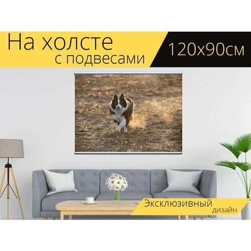 Картина на холсте "Бордерколли, собака, запустить" с подвесами 120х90 см. для интерьера