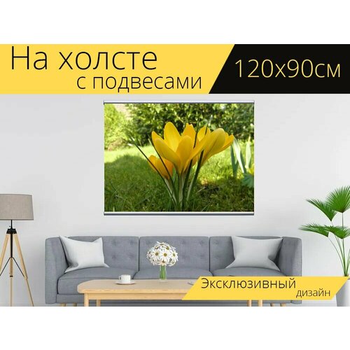 Картина на холсте "Крокус, крокусы, цветок" с подвесами 120х90 см. для интерьера
