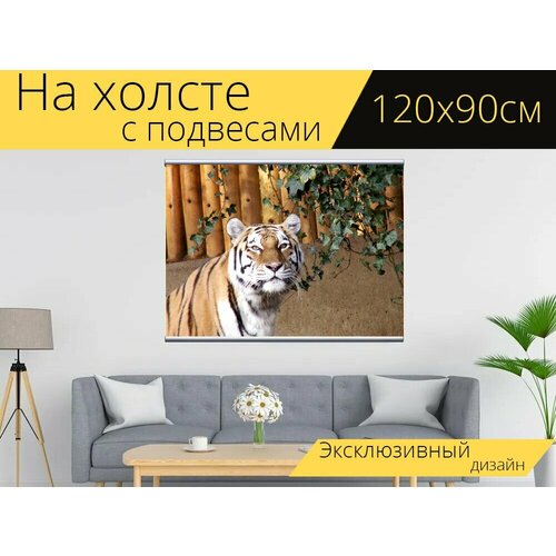 Картина на холсте "Тигр, зоопарк, животные" с подвесами 120х90 см. для интерьера
