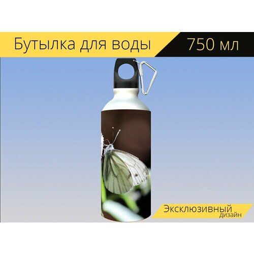 Бутылка фляга для воды "Белый, бабочка, насекомое" 750 мл. с карабином и принтом
