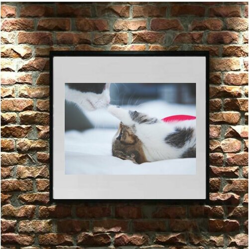 Постер "Котенок вытянул лапу кошке" Cool Eshe из коллекции "Природа", плакат А4