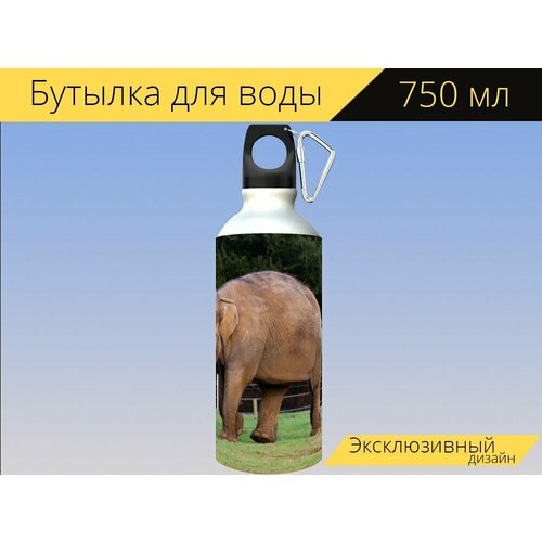 Бутылка фляга для воды "Индийский слон, слоны, слонсамец" 750 мл. с карабином и принтом