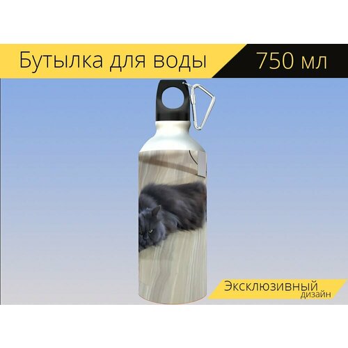 Бутылка фляга для воды "Кошка, пушистый, серый кот" 750 мл. с карабином и принтом