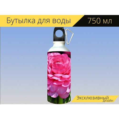 Бутылка фляга для воды "Лютик, цветок, цвести" 750 мл. с карабином и принтом
