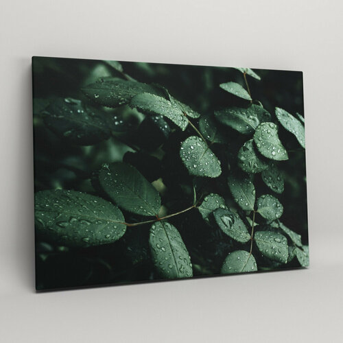 Картина на холсте (интерьерный постер) "Листва после дождя" цветы и растения, с деревянным подрамником, размер 40x30 см
