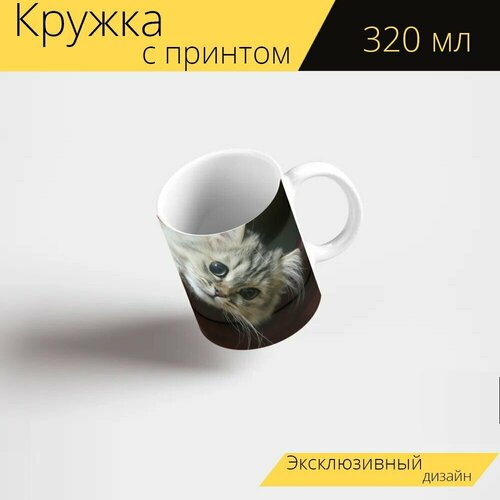 Кружка с рисунком, принтом "Кошка, животное, персидский" 320 мл.