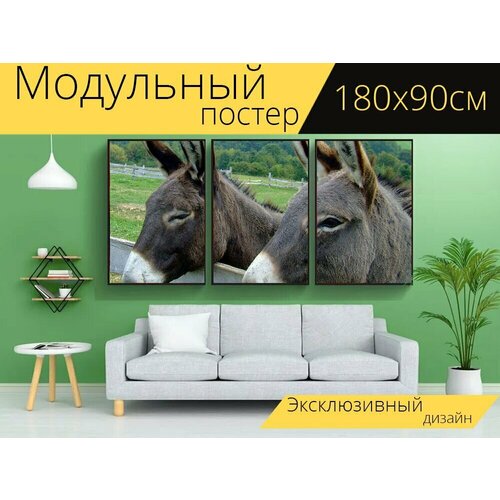 Модульный постер "Ослы, животные, лес" 180 x 90 см. для интерьера