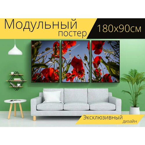 Модульный постер "Цветок, маки, красный" 180 x 90 см. для интерьера