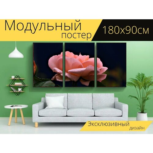 Модульный постер "Розы, сад, цветок" 180 x 90 см. для интерьера