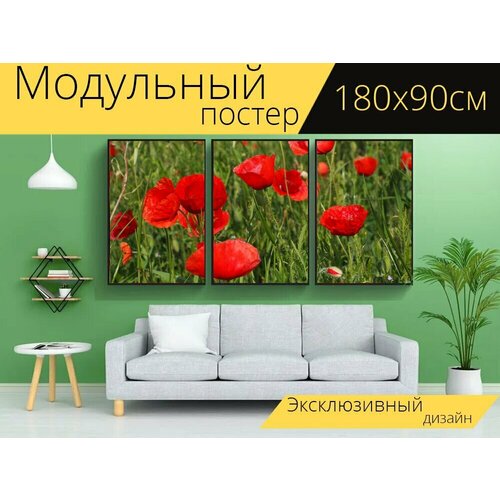 Модульный постер "Маки, маковое поле, кукурузный мак" 180 x 90 см. для интерьера