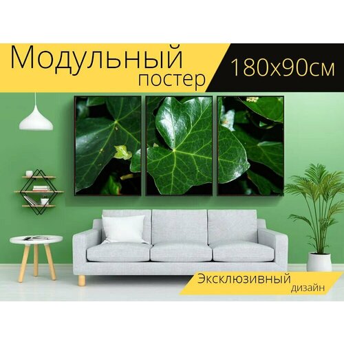 Модульный постер "Плющ, плющ листьев, лист" 180 x 90 см. для интерьера