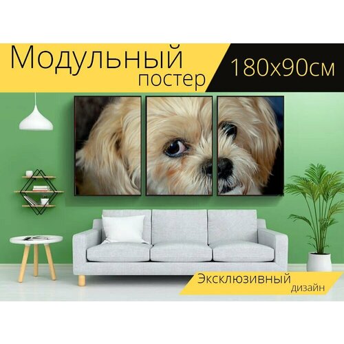 Модульный постер "Собака, терьер, смешивание" 180 x 90 см. для интерьера