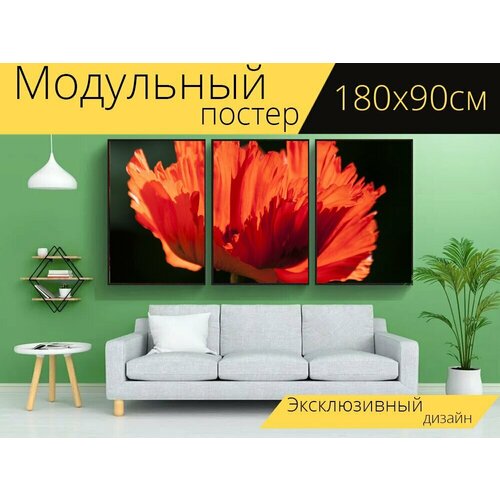 Модульный постер "Мак, цветок, луг" 180 x 90 см. для интерьера