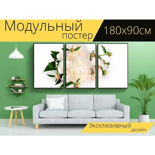 Модульный постер "Пион, цветок, букет" 180 x 90 см. для интерьера