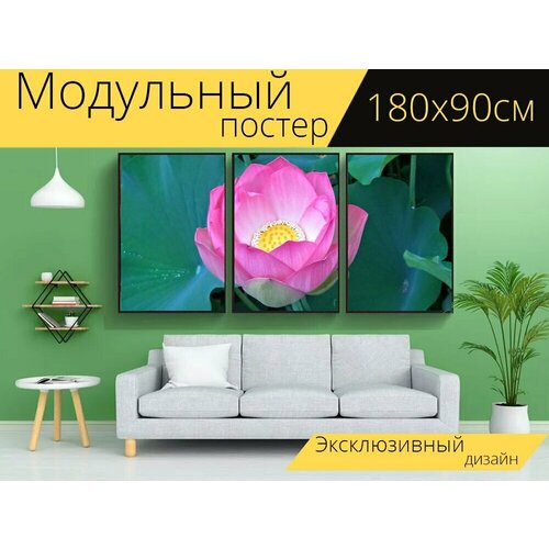 Модульный постер "Эхопарк, лотос, цветок лотоса" 180 x 90 см. для интерьера