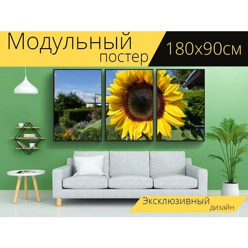 Модульный постер "Подсолнух, цвести, завод" 180 x 90 см. для интерьера