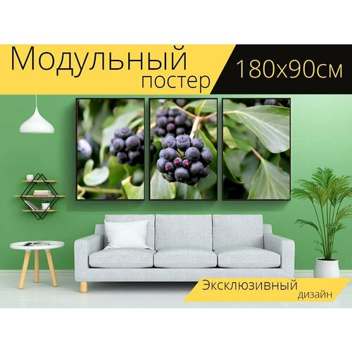Модульный постер "Плющ, растения, фрукты" 180 x 90 см. для интерьера
