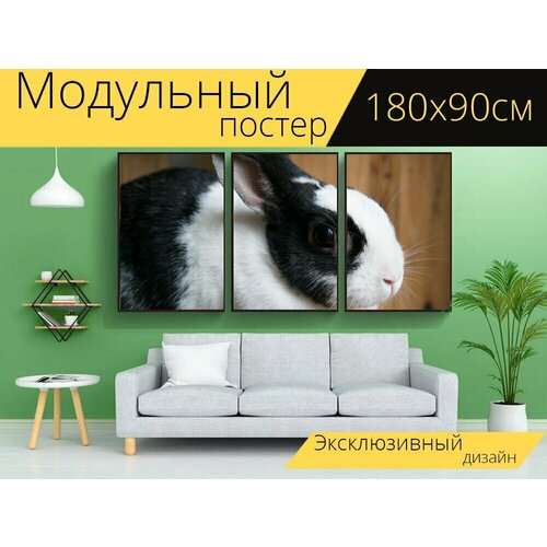 Модульный постер "Кролики, кролик, глаз" 180 x 90 см. для интерьера