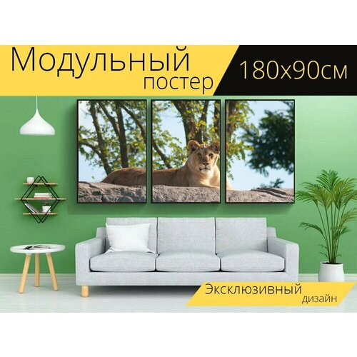 Модульный постер "Лев, львица, львы" 180 x 90 см. для интерьера