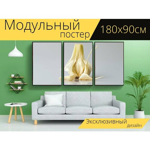 Модульный постер "Чеснок, луковица чеснока, стручок" 180 x 90 см. для интерьера