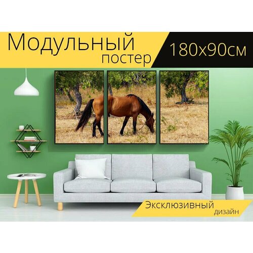 Модульный постер "Залив, лошадь, жеребец" 180 x 90 см. для интерьера