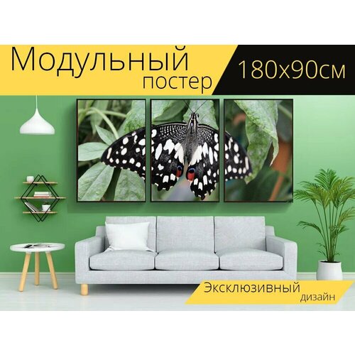 Модульный постер "Бабочка, природа, сад" 180 x 90 см. для интерьера