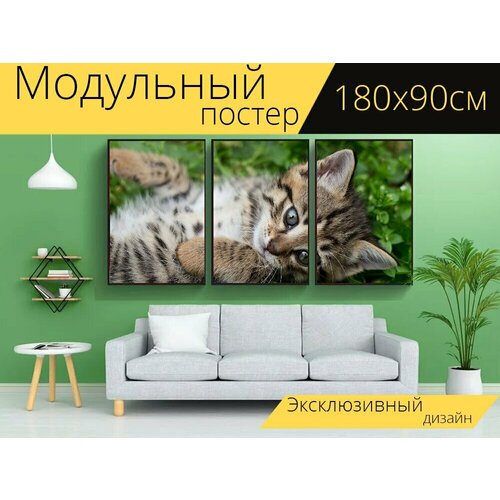 Модульный постер "Полосатый котенок, серый котенок, дикий" 180 x 90 см. для интерьера