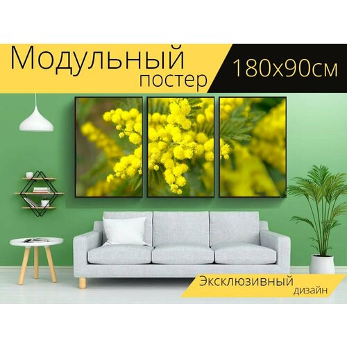 Модульный постер "Мимоза, весна, желтый цветок" 180 x 90 см. для интерьера