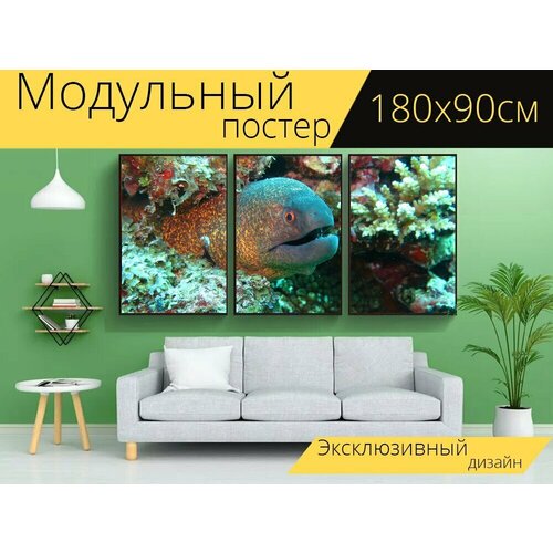 Модульный постер "Мурена, угорь, рыбы" 180 x 90 см. для интерьера