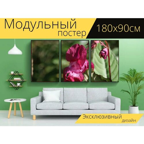Модульный постер "Недотрога, орхидея, лесная" 180 x 90 см. для интерьера