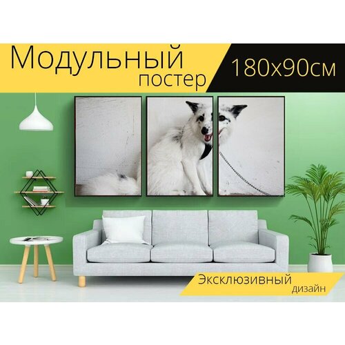 Модульный постер "Лиса, хищник, белая лиса" 180 x 90 см. для интерьера